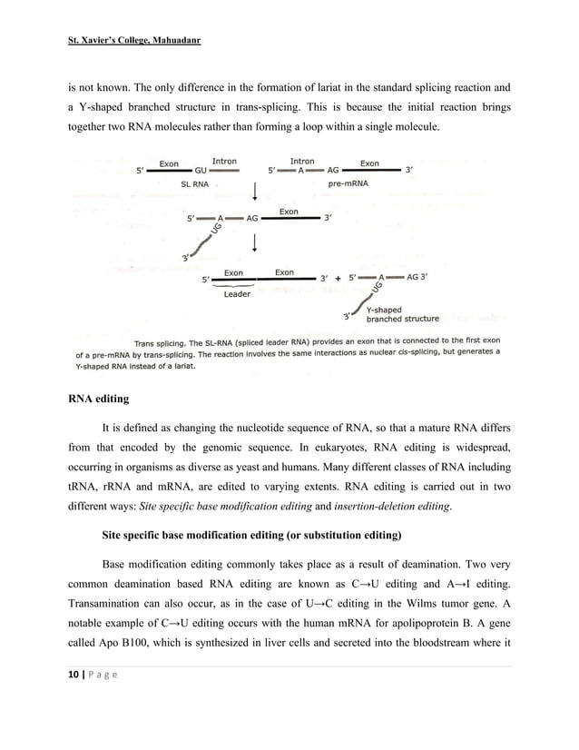 Processing and modification of RNA | PDF | Programming Languages | Computing