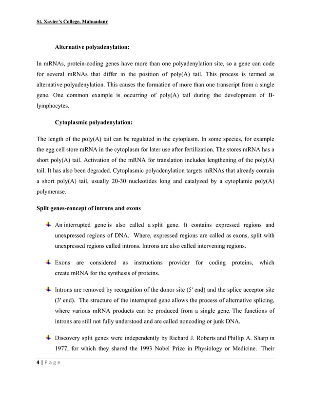 Processing and modification of RNA | PDF | Programming Languages | Computing