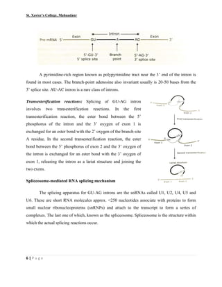 Processing and modification of RNA | PDF