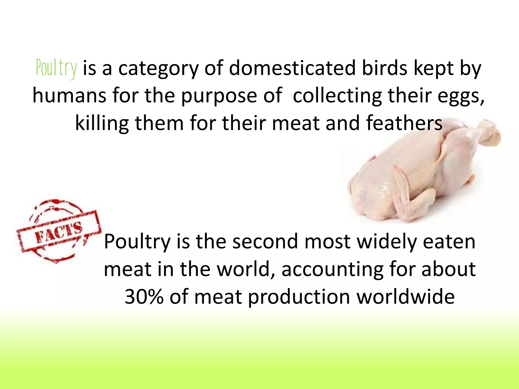 Poultry: Contamination, Preservation and Spoilage | PDF