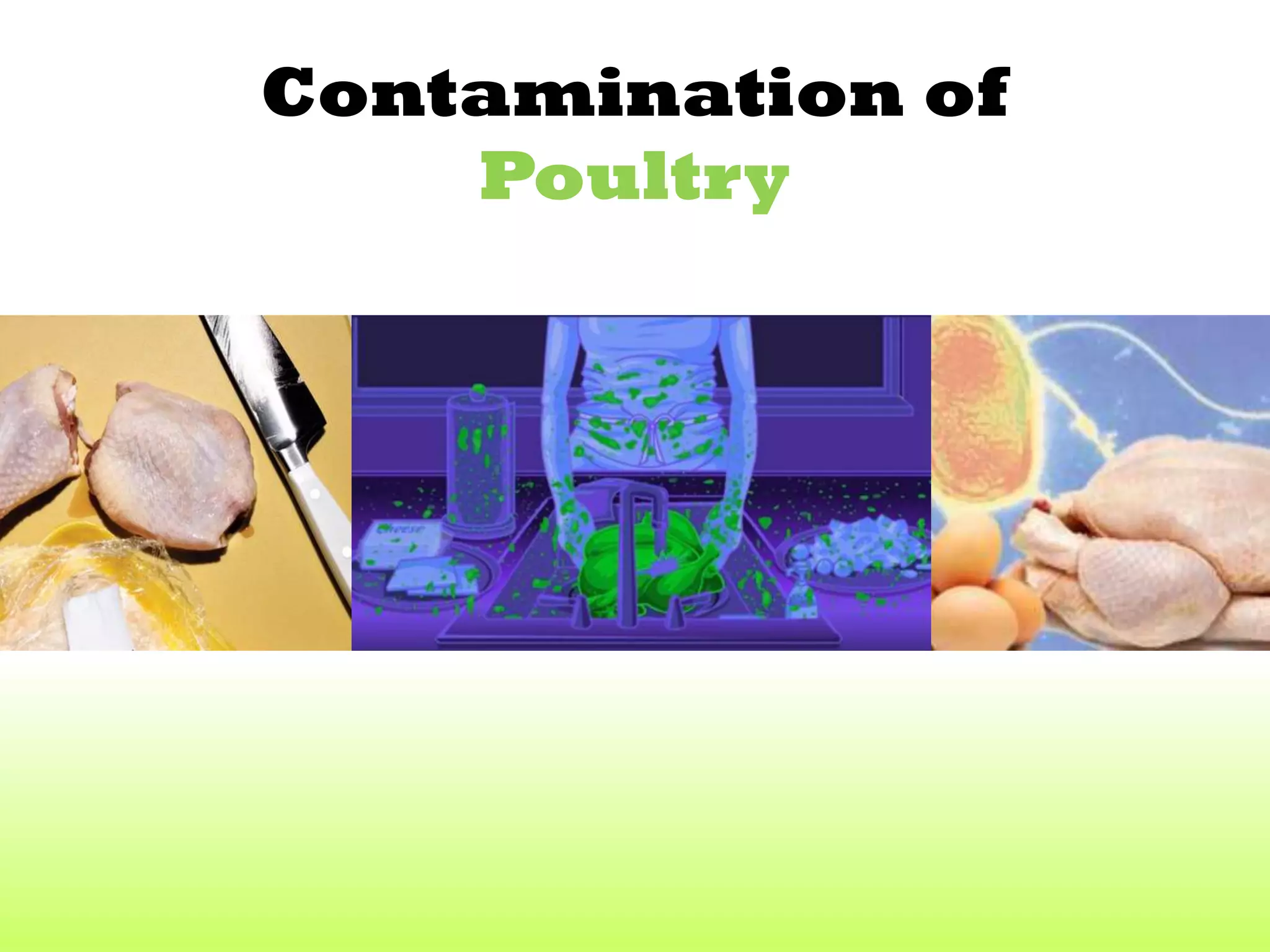 Poultry: Contamination, Preservation and Spoilage | PDF