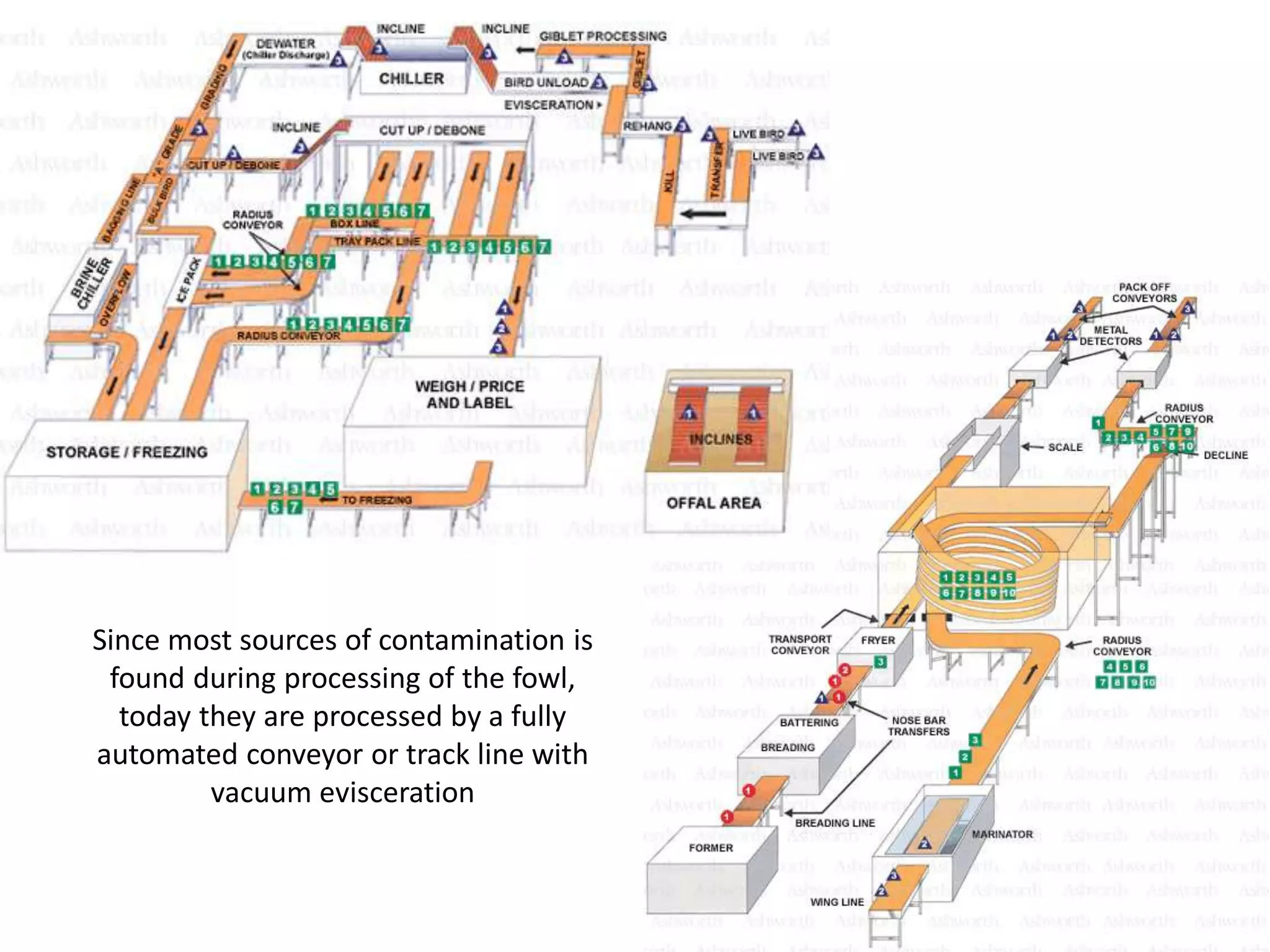 Poultry: Contamination, Preservation and Spoilage | PDF