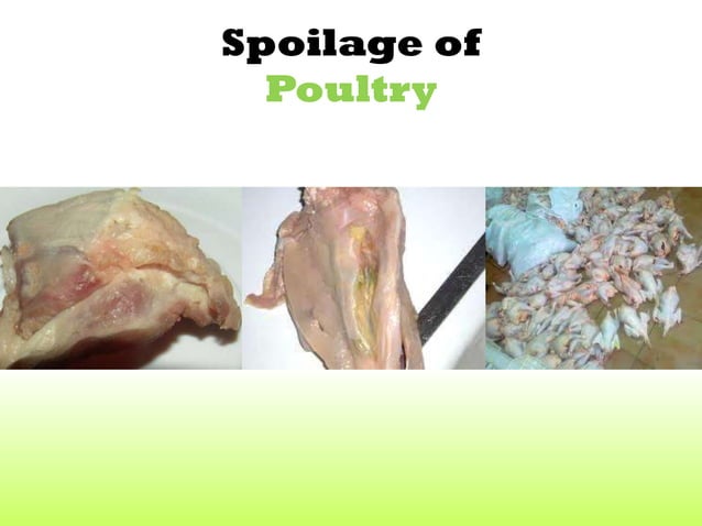 Poultry: Contamination, Preservation and Spoilage | PPT
