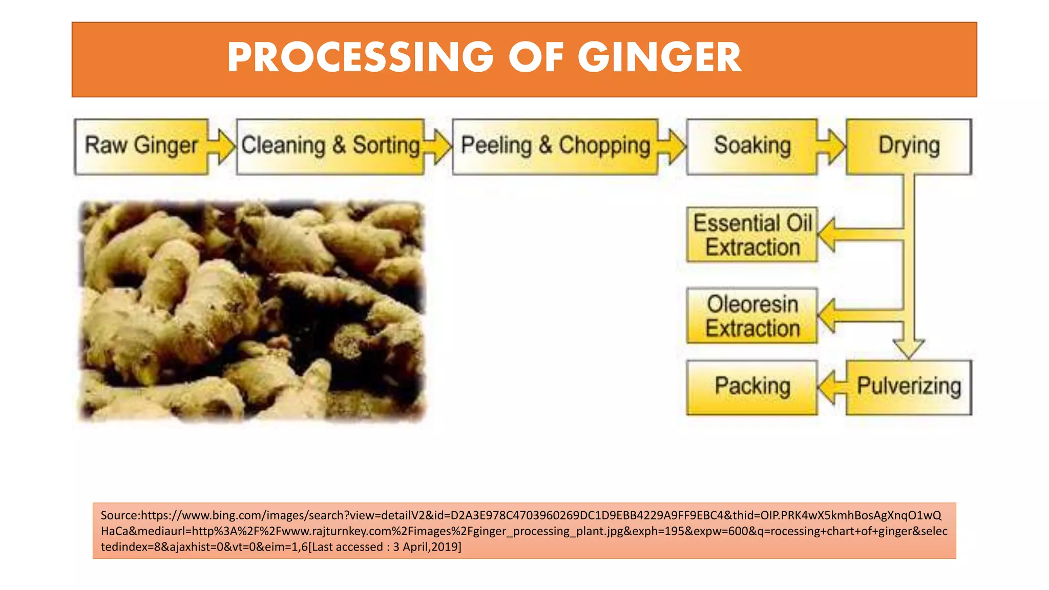 Processing and value added products of Turmeric and Ginger | PPTX
