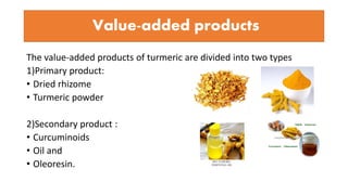 Processing and value added products of Turmeric and Ginger | PPTX