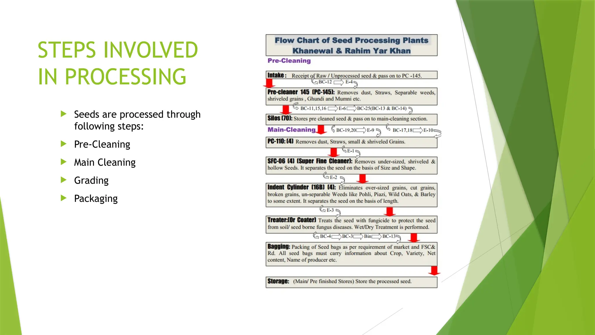 PROCESSING DIVISION OF PUNJAB SEED CORPORATION.pptx