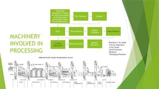 PROCESSING DIVISION OF PUNJAB SEED CORPORATION.pptx