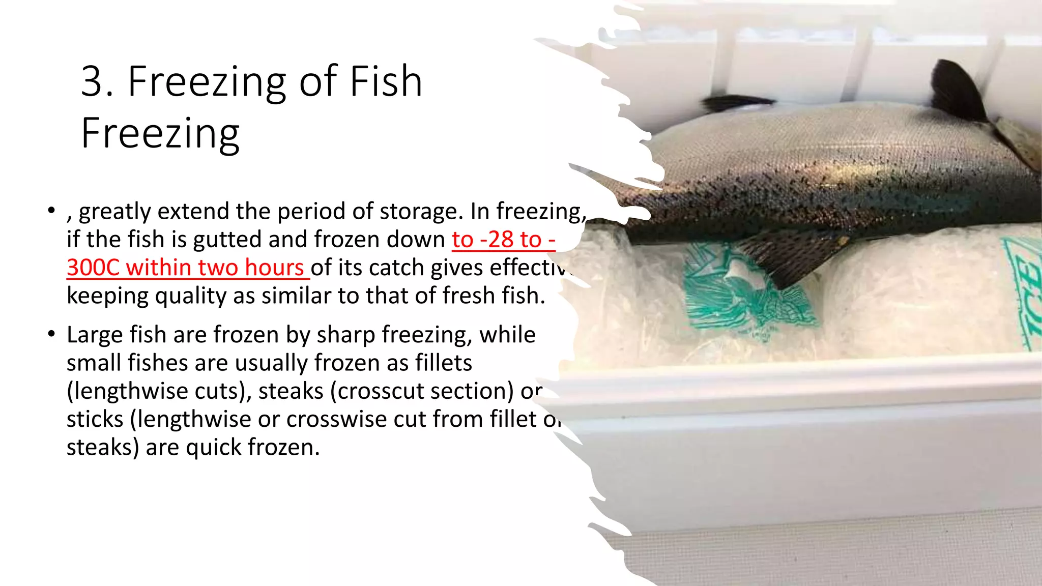 Processing Fish.pptx