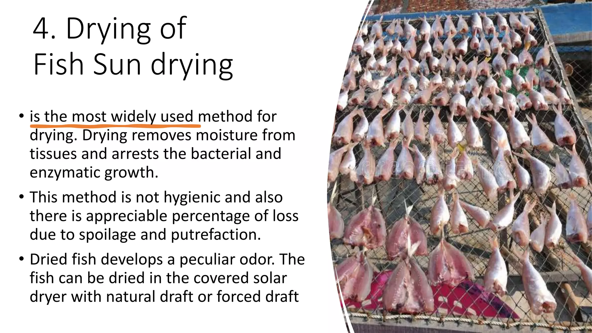 Processing Fish.pptx