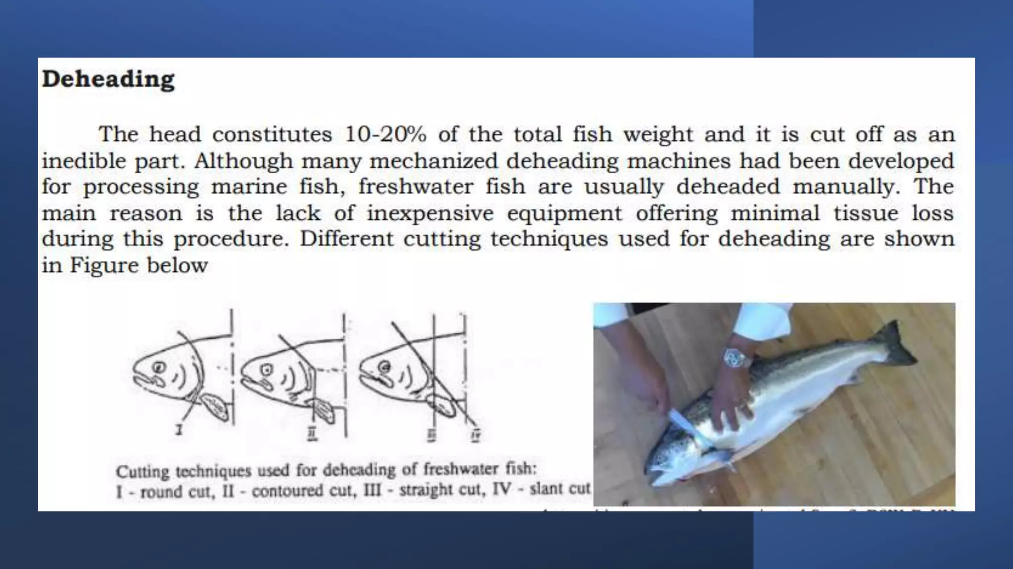 Processing Fish.pptx