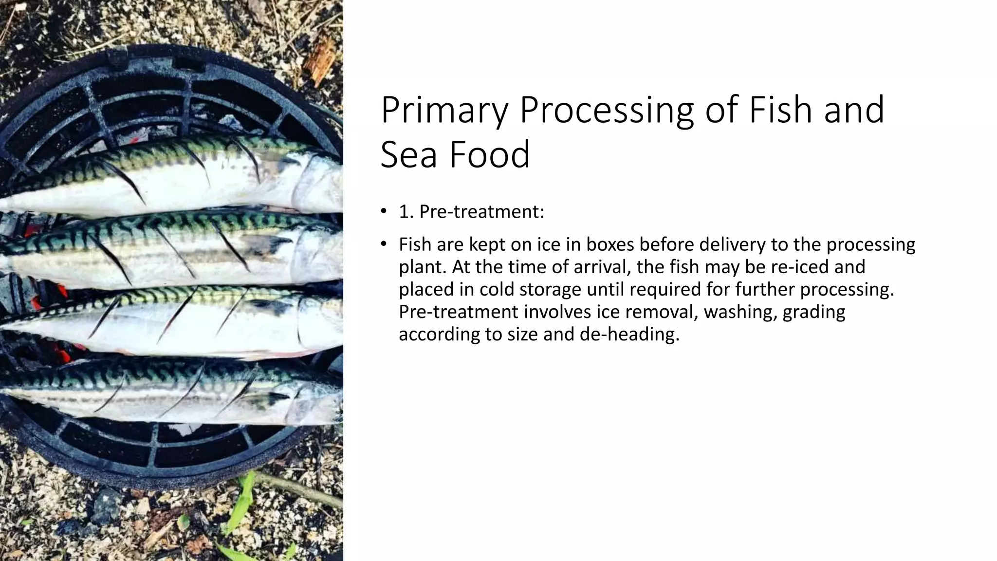 Processing Fish.pptx