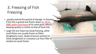 Processing Fish.pptx
