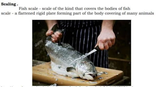 Processing Fish.pptx