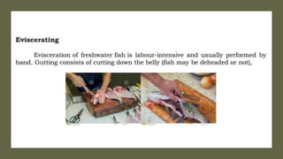 Processing Fish.pptx