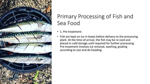 Processing Fish.pptx