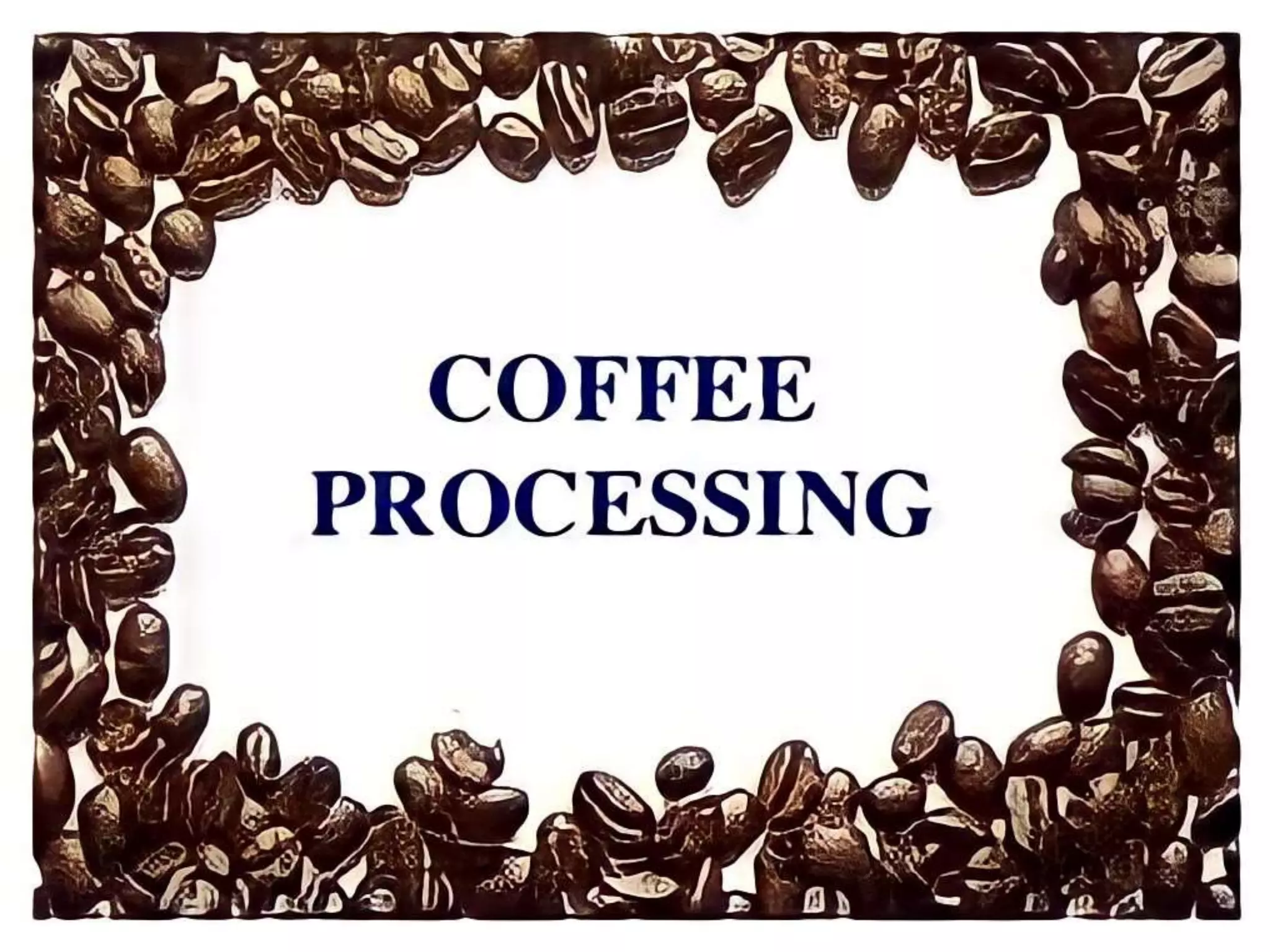 processing in coffe.pptx