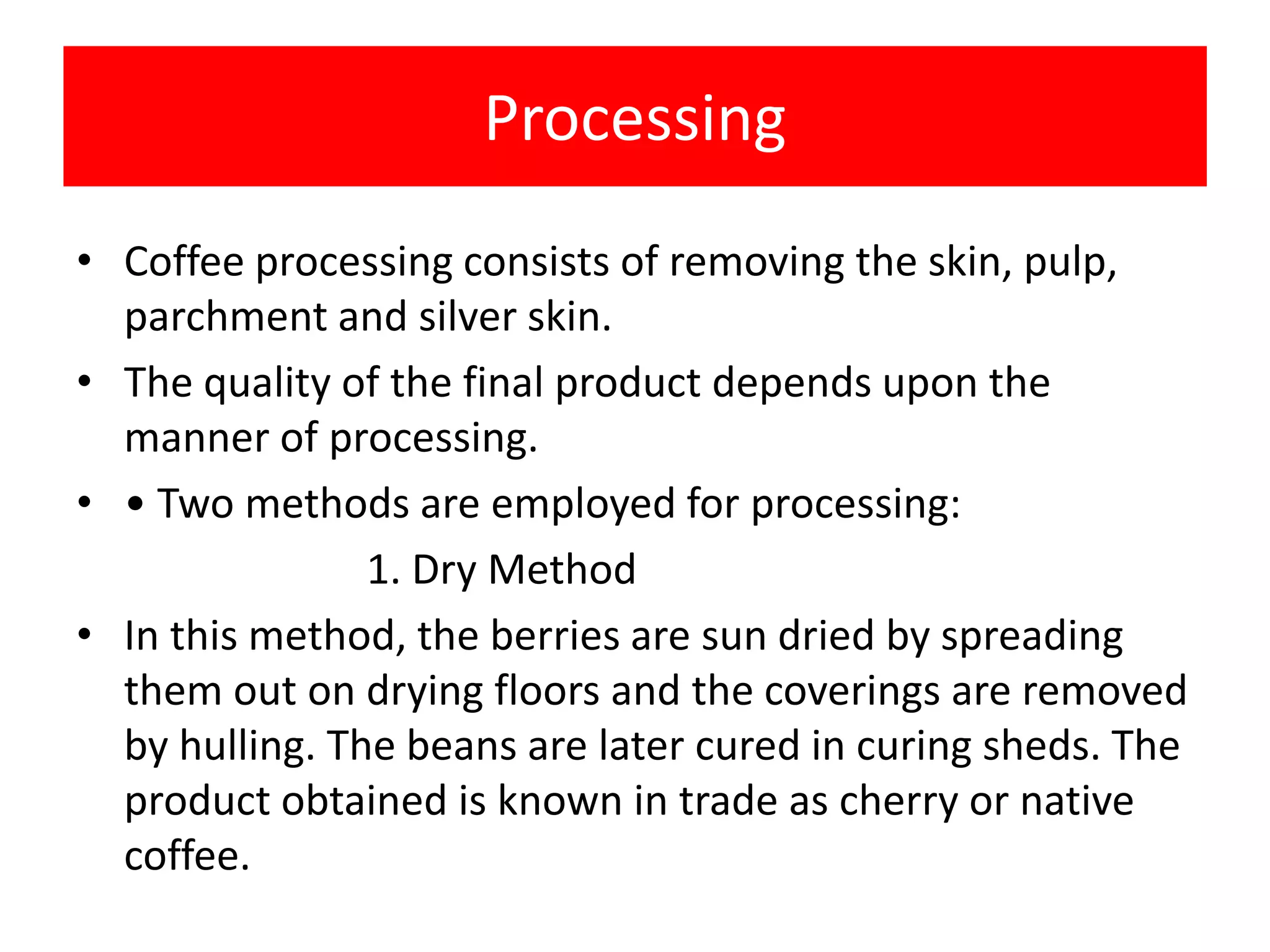 processing in coffe.pptx