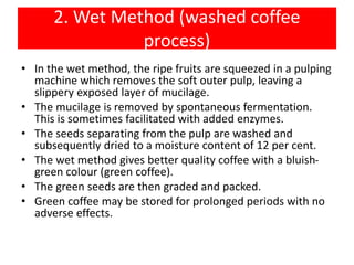 processing in coffe.pptx