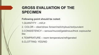 PROCESSING LATEST FINAL.pptx