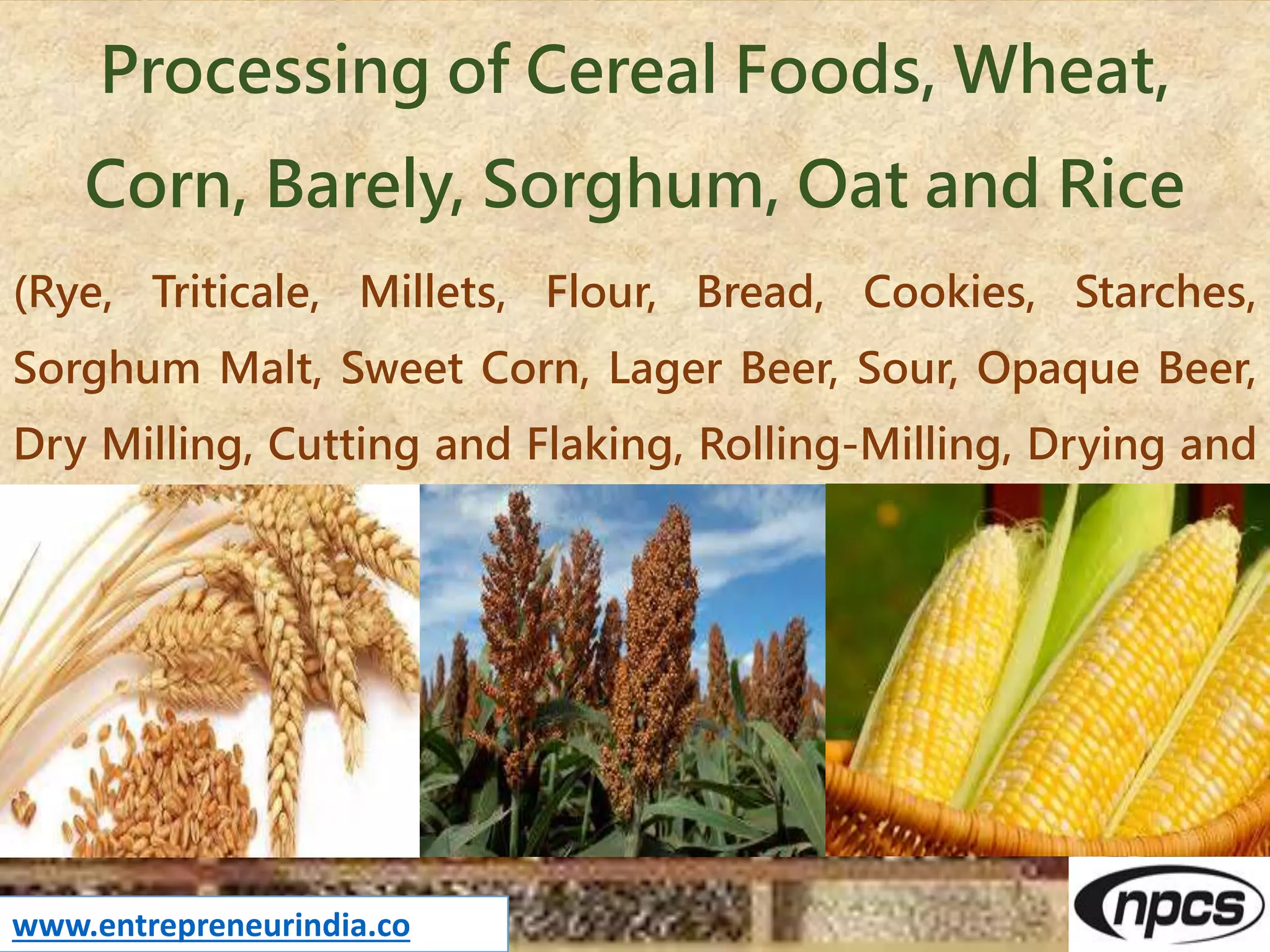 Processing of Cereal Foods, Wheat, Corn, Barely, Sorghum, Oat and Rice ...