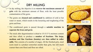 Processing Techniques for Cereal Grains.pptx