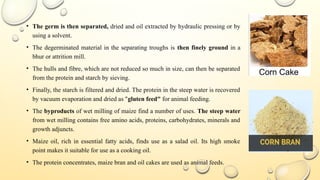 Processing Techniques for Cereal Grains.pptx