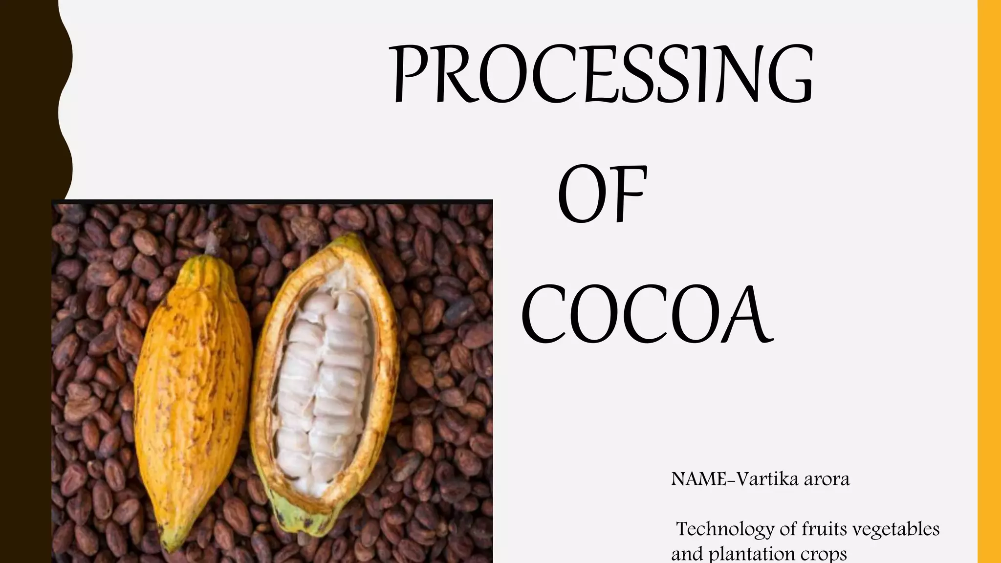 Processing of cocoa | PPTX