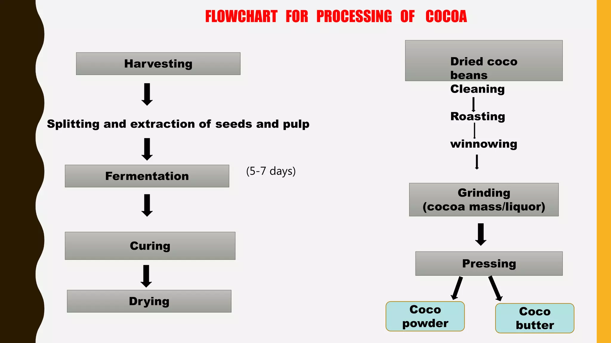 Processing of cocoa | PPTX
