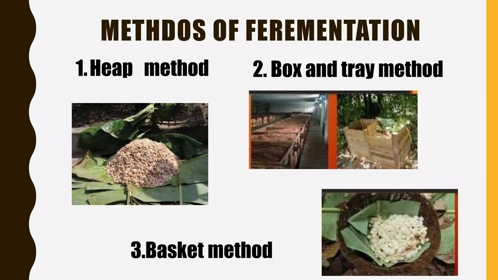 Processing of cocoa | PPTX