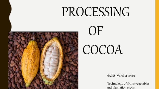 Processing Of Cocoa Pptx