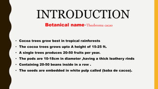 Processing of cocoa | PPTX