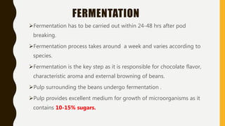 Processing of cocoa | PPTX