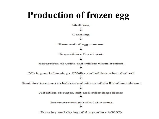 PROCESSING OF EGG.pptx