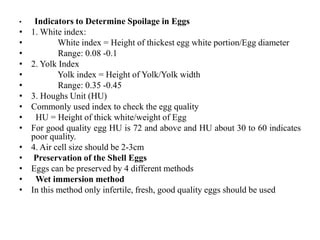 PROCESSING OF EGG.pptx