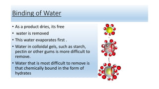 Processing of fruits and vegetables | PPTX