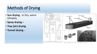Processing of fruits and vegetables | PPTX