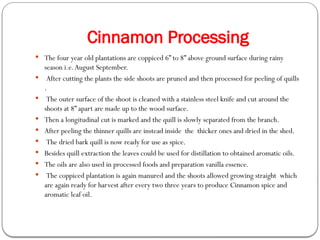 processing of MAP edited.pptx landscape and | PPT