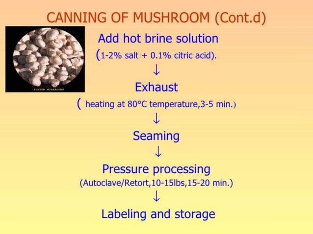 Processing of mushrooms | PPTX