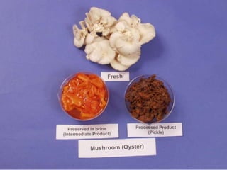 Processing of mushrooms | PPTX
