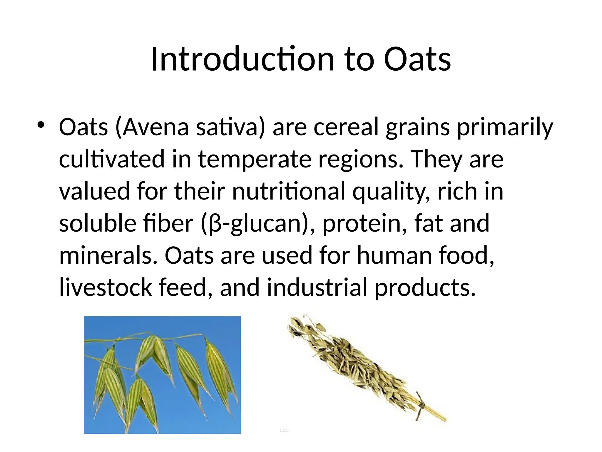 Processing of oats: Structure, composition and milling | PPTX
