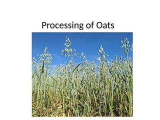 Processing of oats: Structure, composition and milling | PPTX