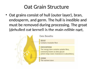 Processing of oats: Structure, composition and milling | PPTX