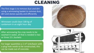 Processing of Pepper and Cardamom | PPTX