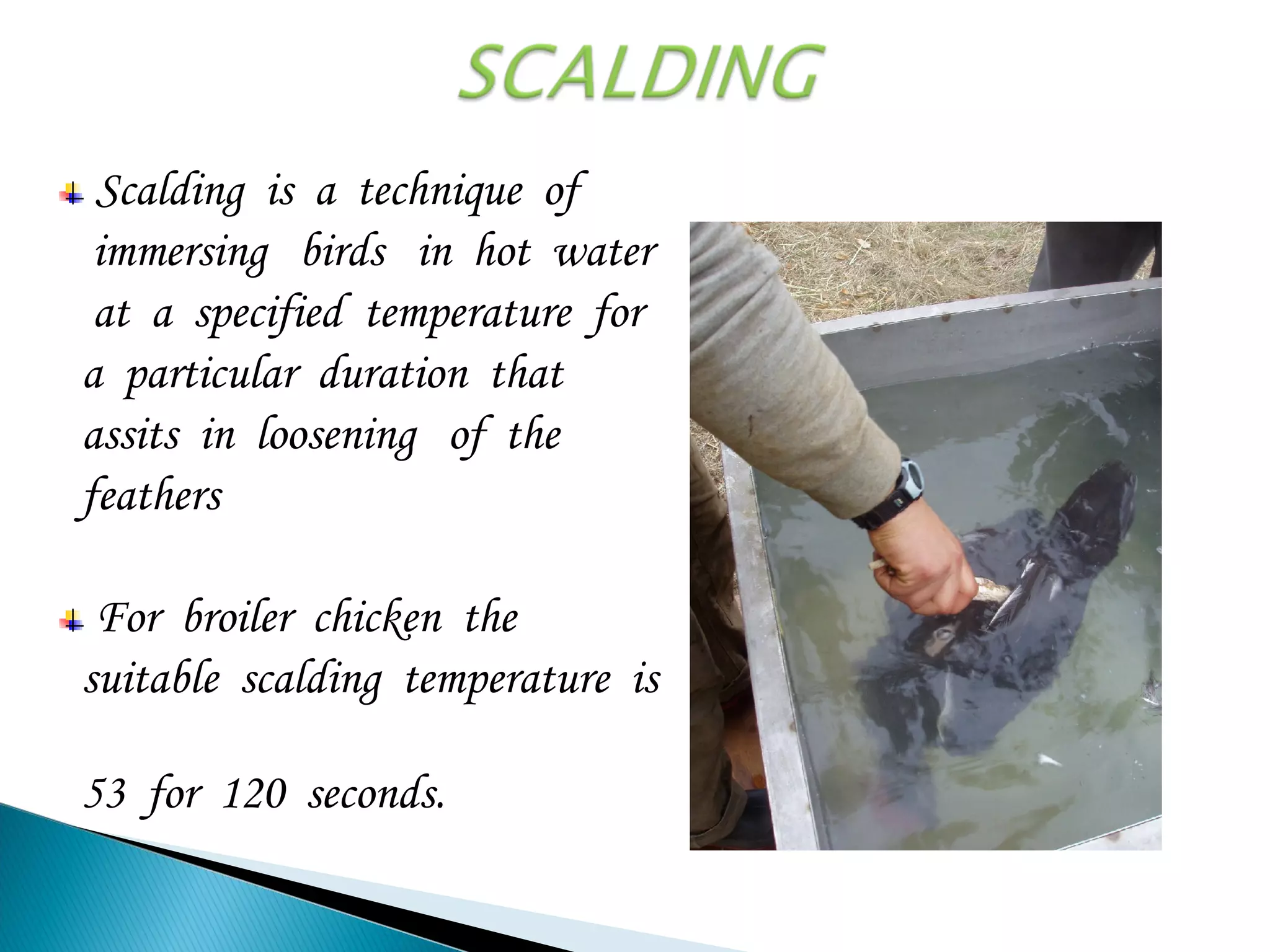 Processing of poultry | PPT