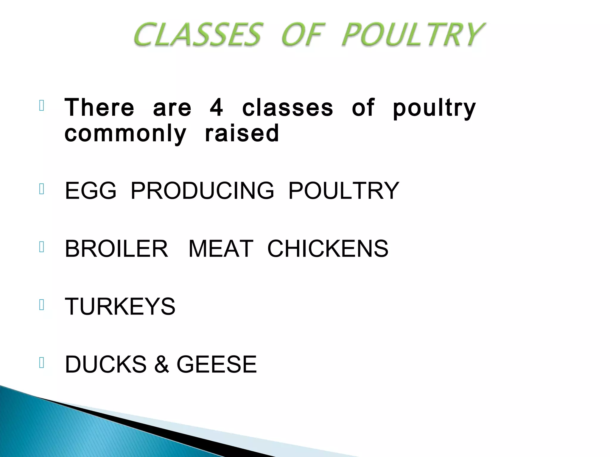 Processing of poultry | PPT