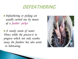 Processing of poultry | PPT