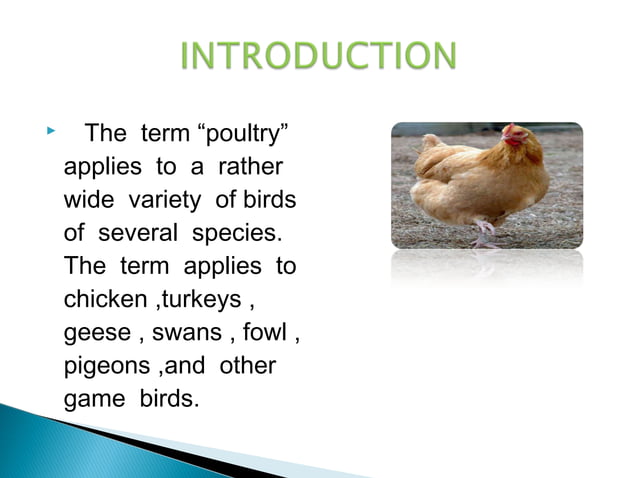 Processing of poultry | PPT