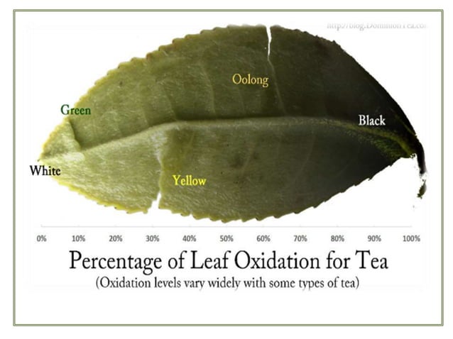 Processing of Tea | PPTX | Chemistry | Science