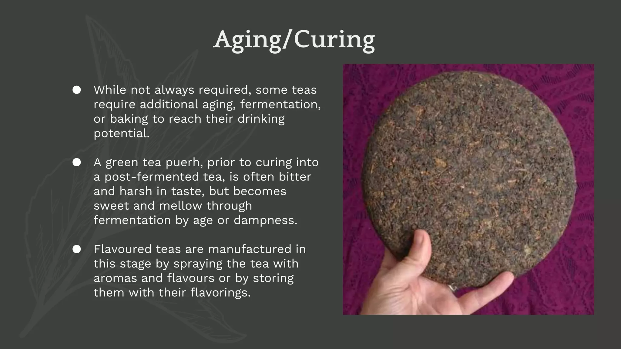 Processing Of Tea | PPTX
