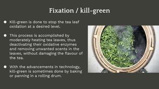 Processing Of Tea | PPTX